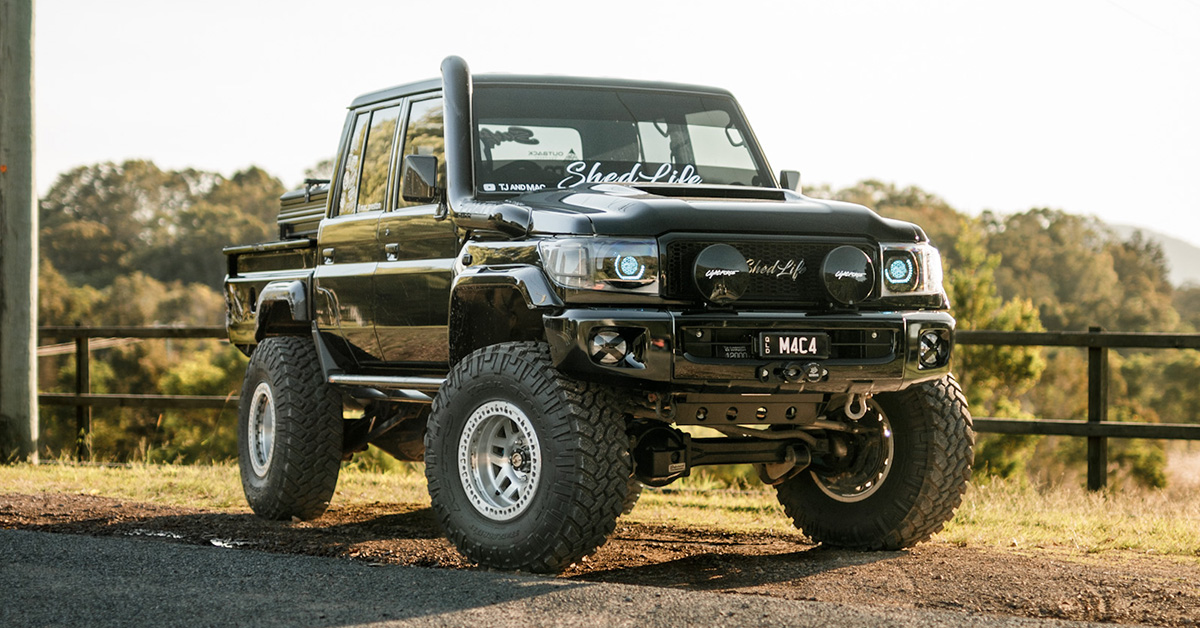 Shedlife Club Memberships